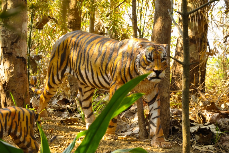 Gallery | Utsav Rock Garden